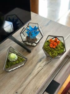 Moss Pure: Live Moss Air Filter & Stress Relief Device