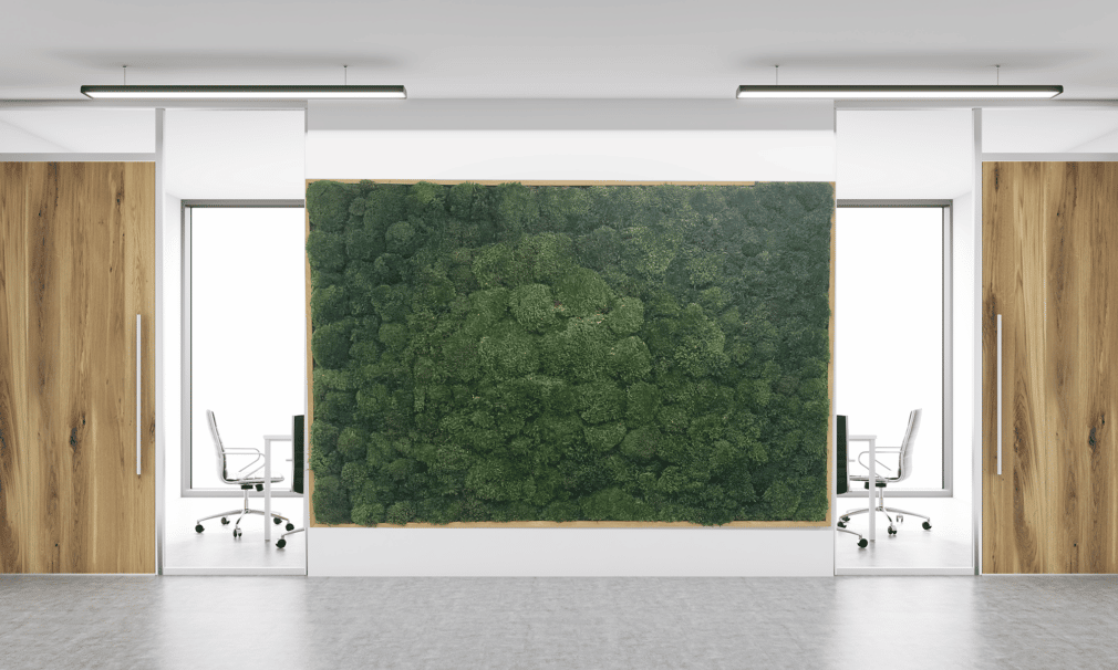 Live Moss vs Preserved Moss
