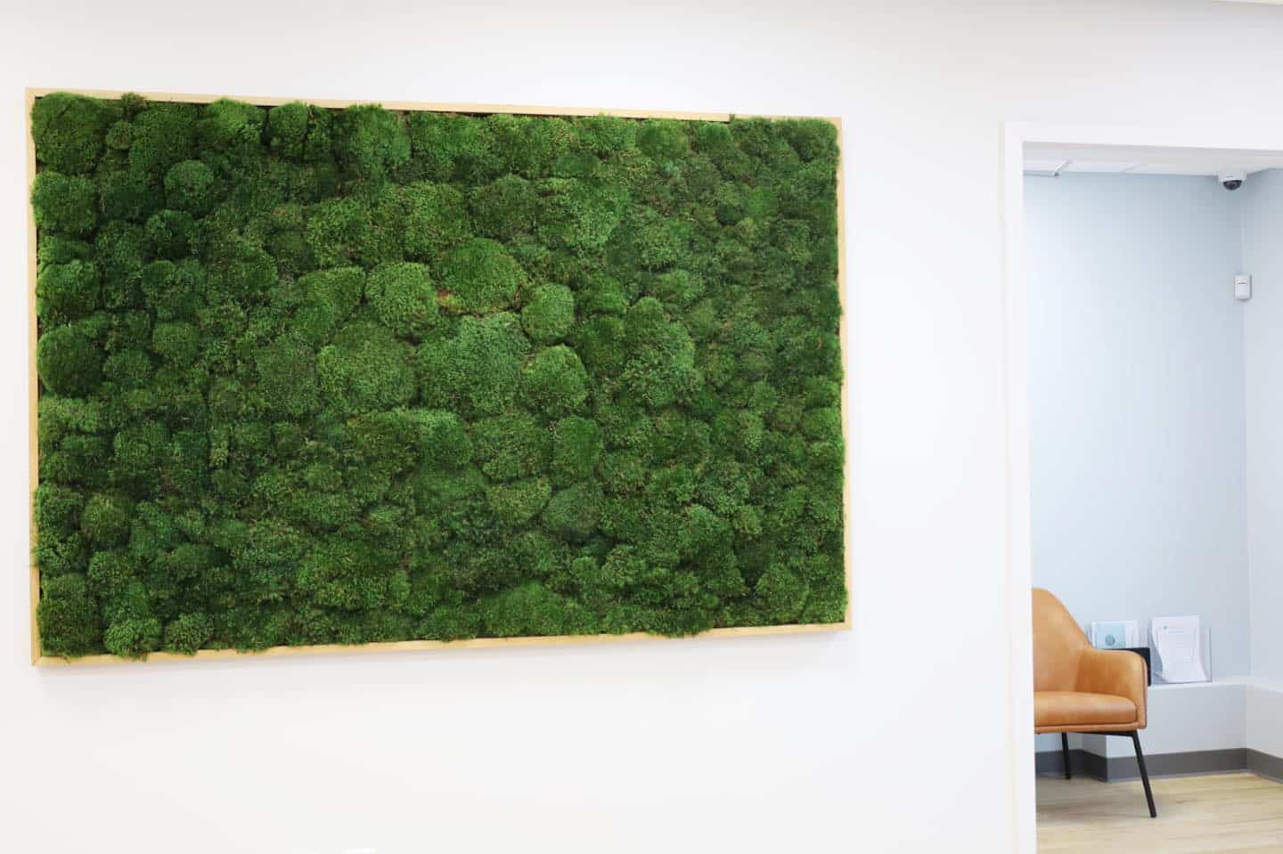 Custom Live Moss Wall Art I Build Your Own Moss Air Filter