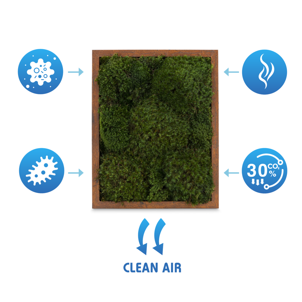 Moss Pure: Live Moss Walls and Decor For Your Space.