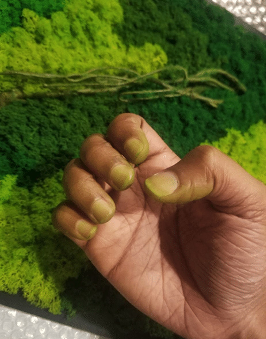 Moss Pure: Stunning Live Moss Walls For Your Space.