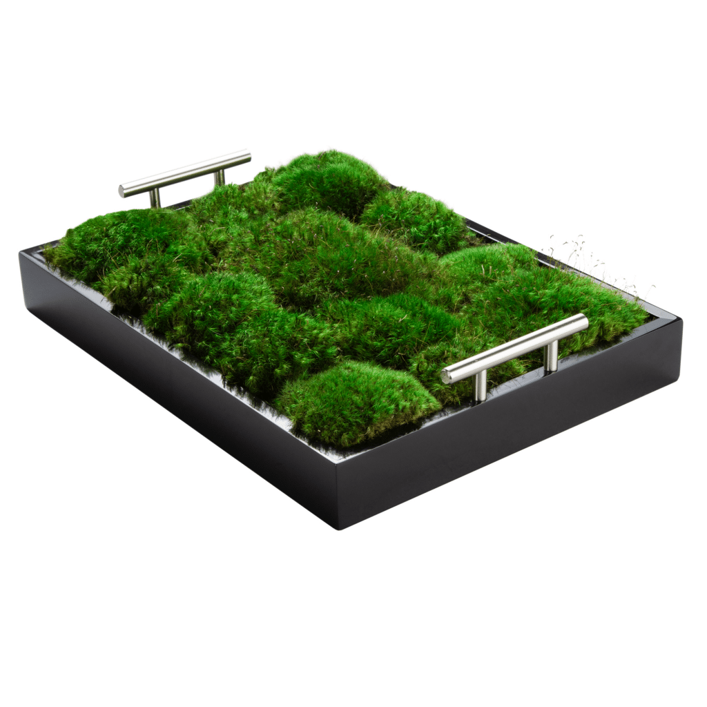 Live Mood Moss Tray in Black - Shop Now