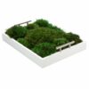 Live Mood Moss Tray in White - Shop Now