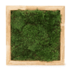 Live Mood Moss Wall Art, Recycled Chopstick Frame - Shop Now