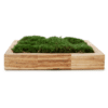 Live Mood Moss Wall Art, Recycled Chopstick Frame - Shop Now