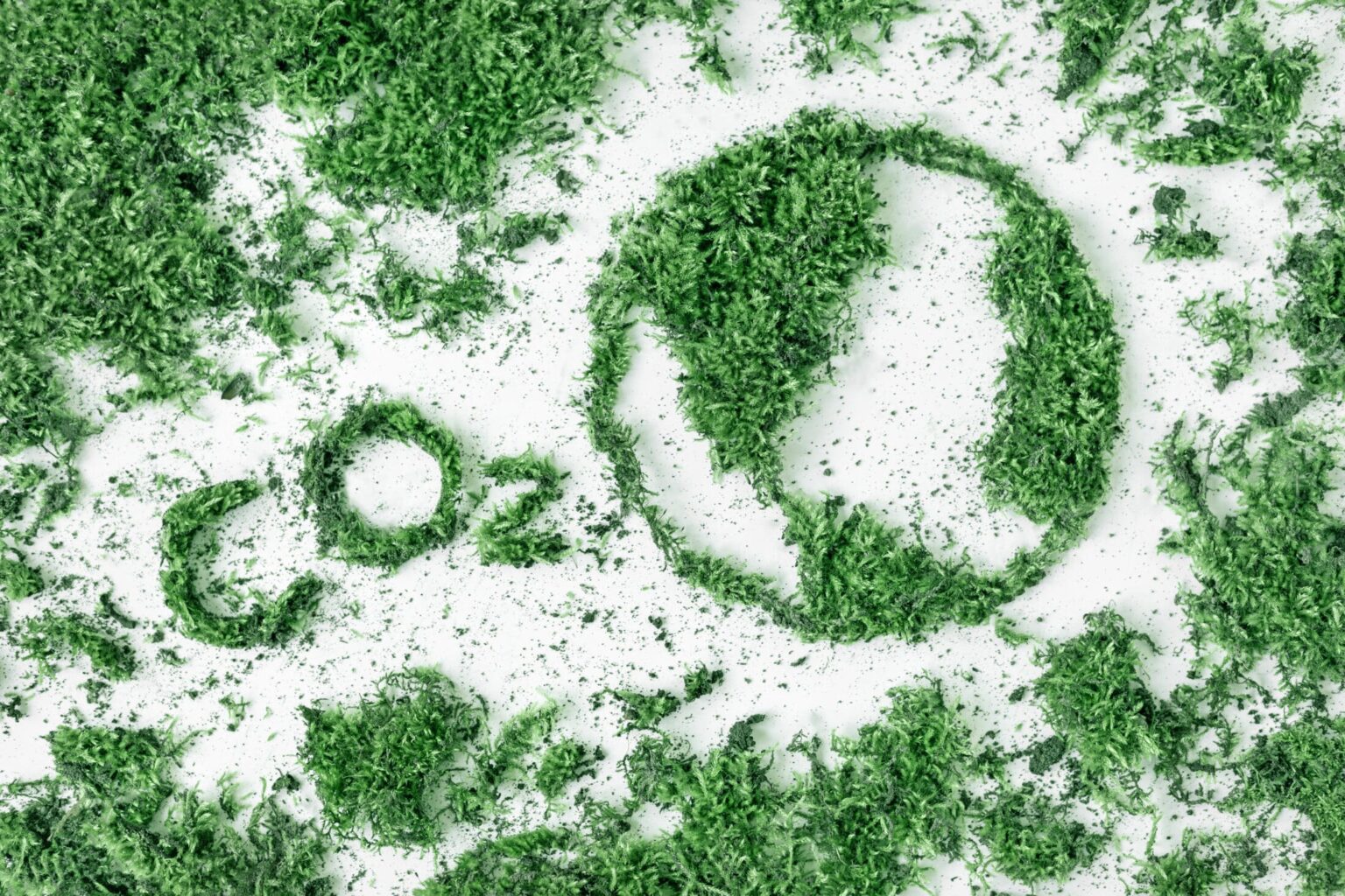 The Science of Using Live Moss