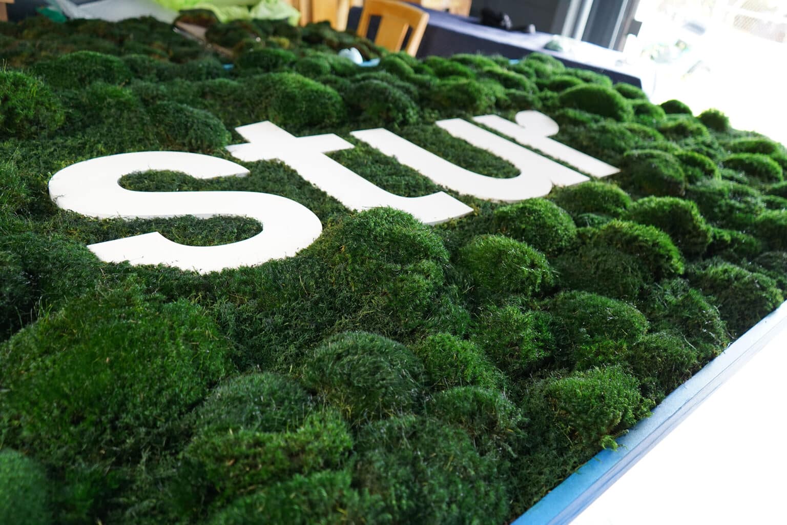Moss Pure: Stunning Live Moss Walls For Your Space.