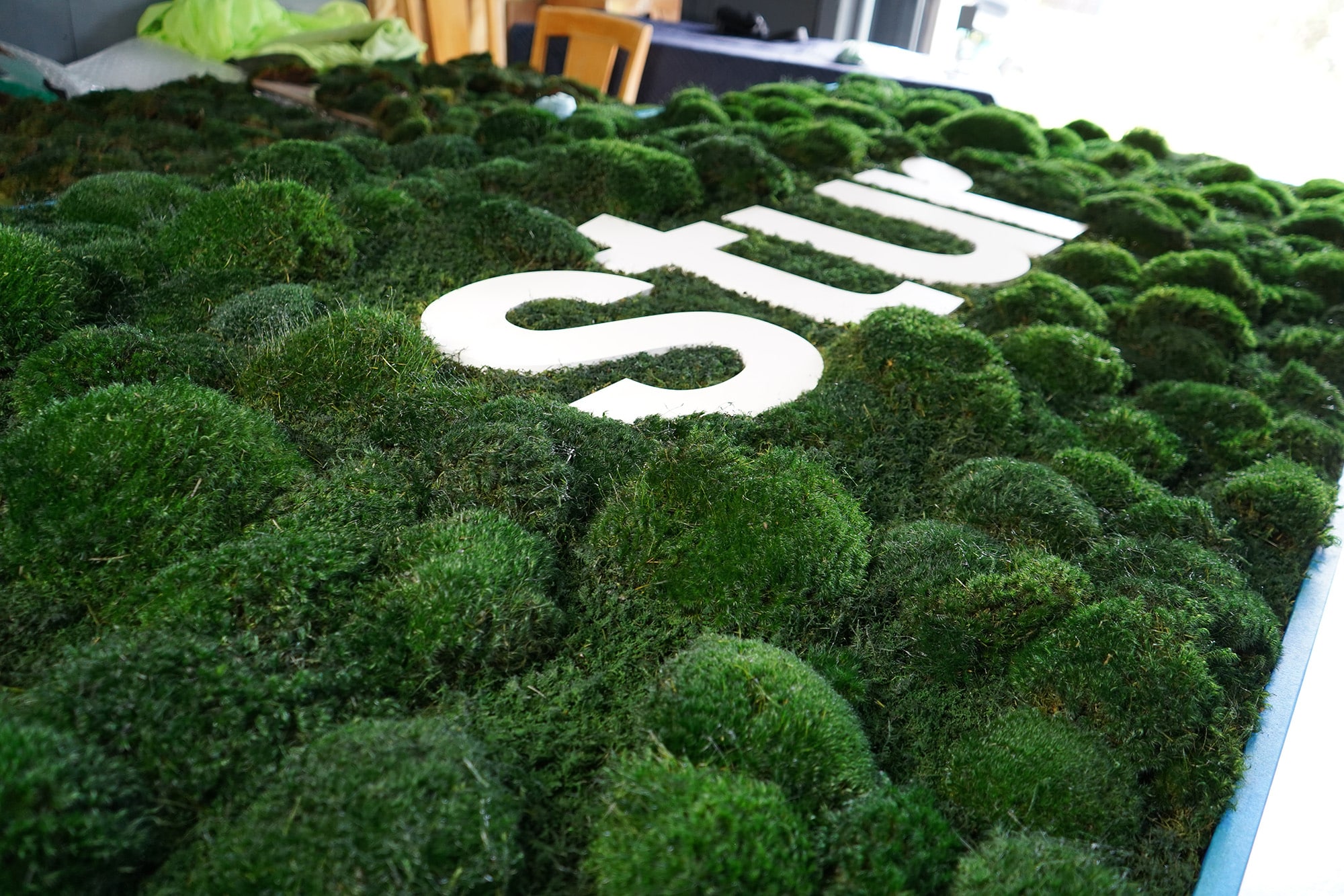 Moss Pure: Stunning Live Moss Walls For Your Space.