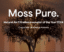 Moss Pure: Stunning Live Moss Walls For Your Space.