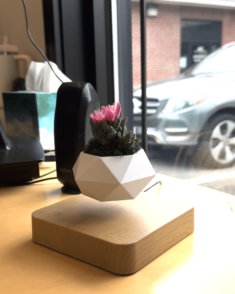 The MossPure Rotating Live Moss Air Filter