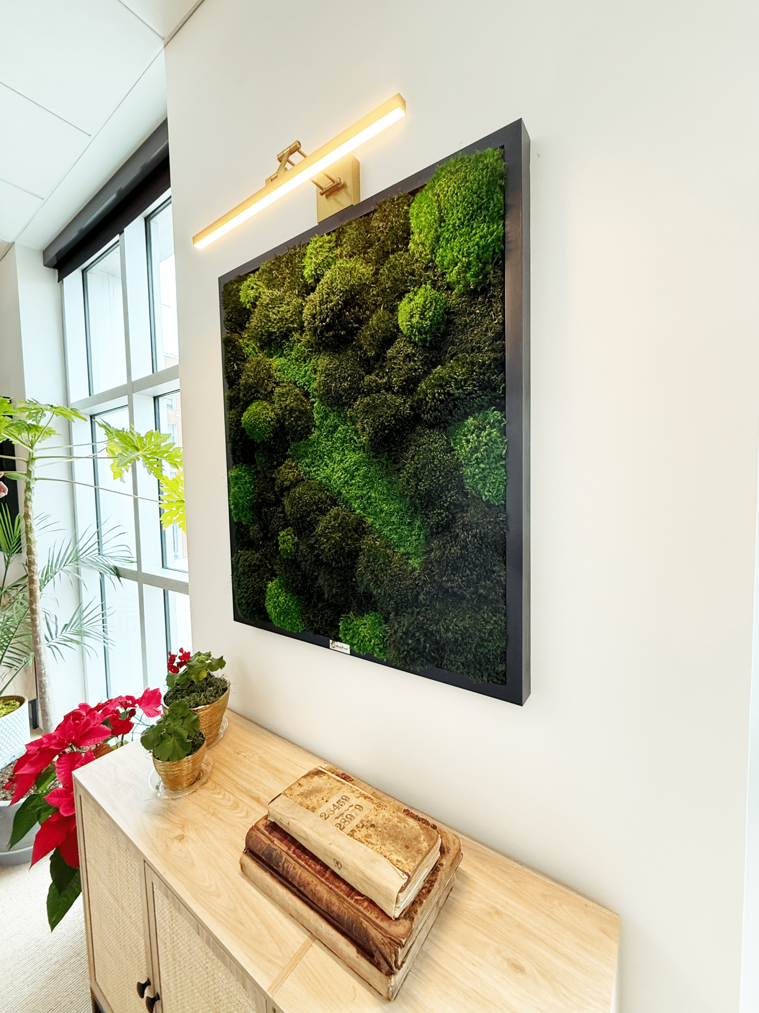 Custom Live Moss Walls - Moss Pure