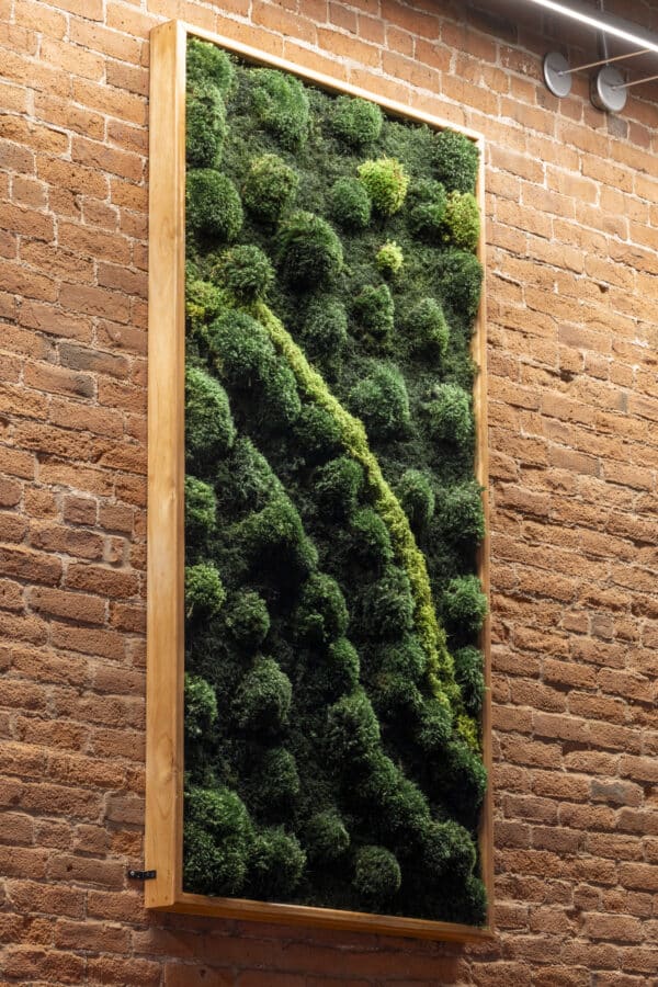 Custom Live Moss Walls - Moss Pure