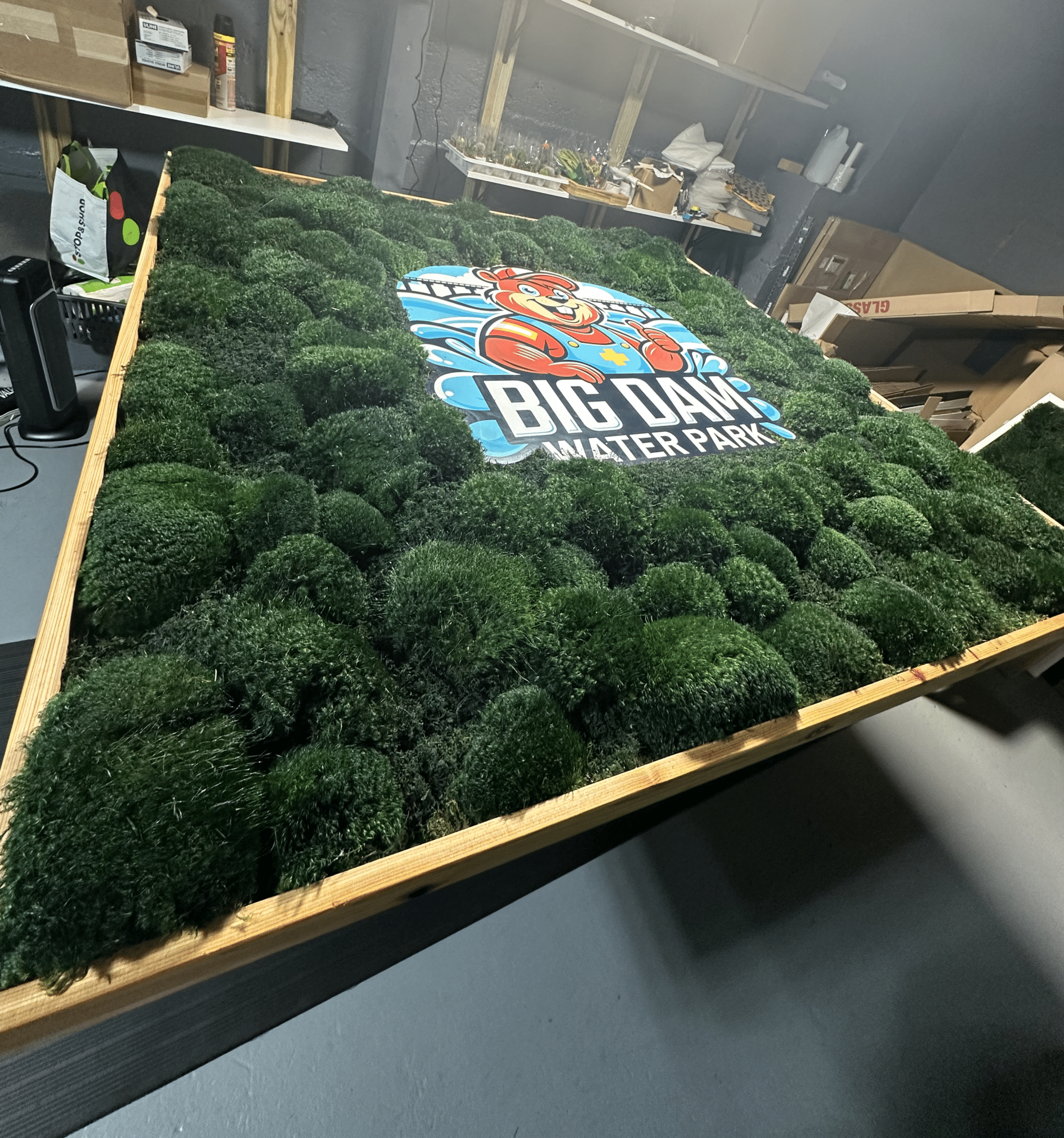 Outdoor Living Moss Wall in Arkansas - Moss Pure: Live Moss Wall Art ...