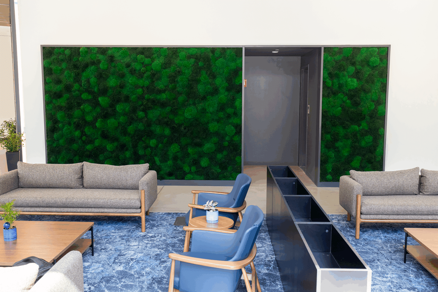 LIVE Moss Walls in Lab, Health, & Biotech Space - Moss Pure: Live Moss ...