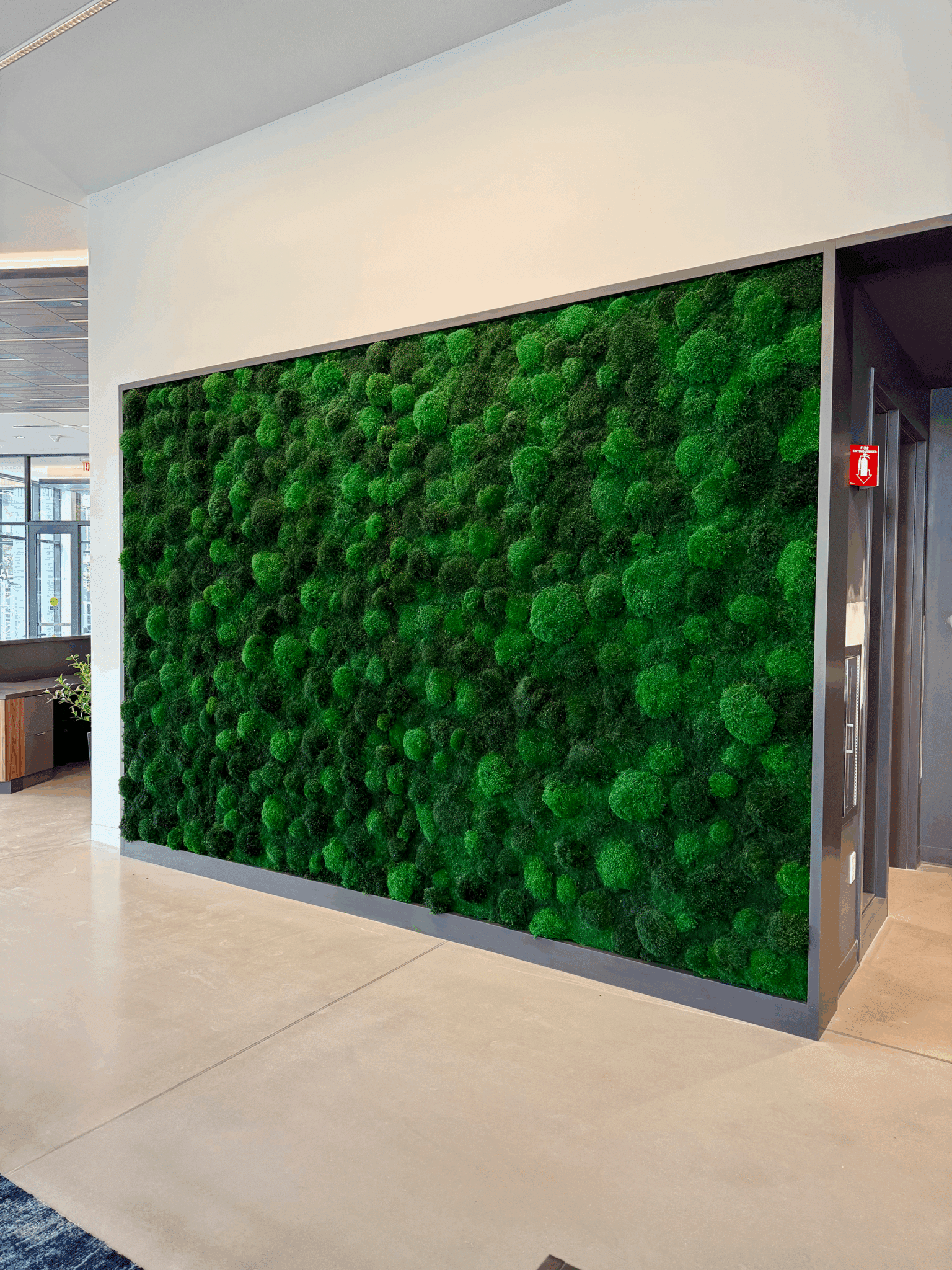Moss Pure: Stunning Live Moss Walls For Your Space.